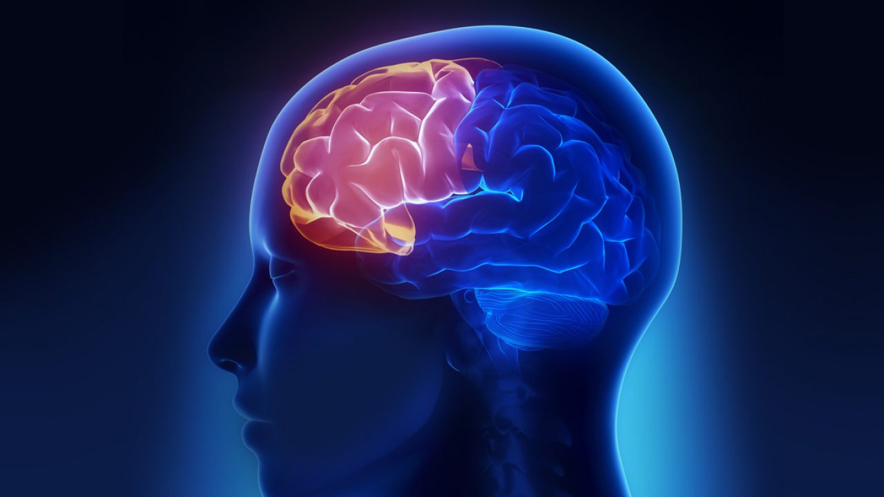 Women’s Leadership - Red Moon Communications.